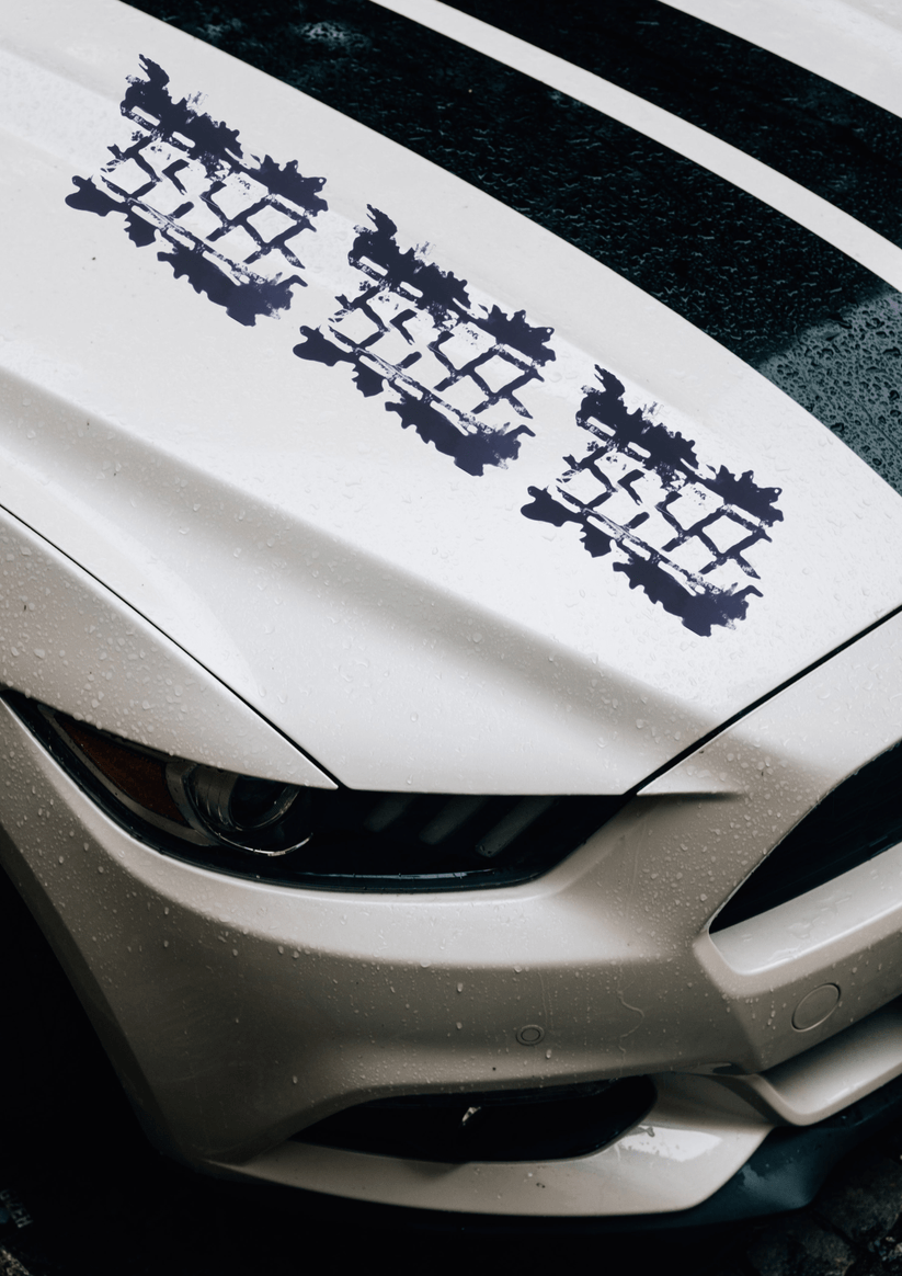 Print Custom Vehicle Stickers for your Car – TeMaRo™